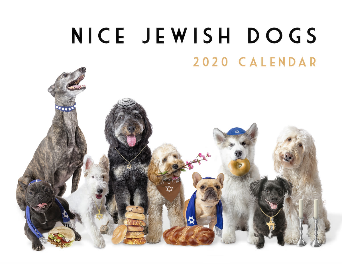 Nice Jewish Dogs Calendar Launch Party in San Francisco at Anchor