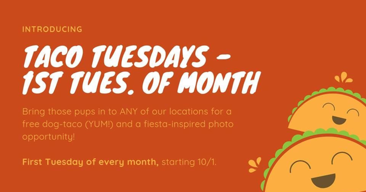 Taco Tuesday - First Tuesday of The Month in Indianapolis at City