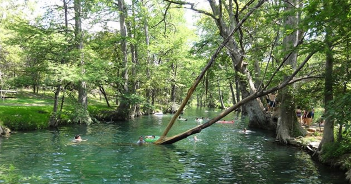 Polar Bear Plunge & Fun Run in Wimberley at Blue Hole at Wimberley