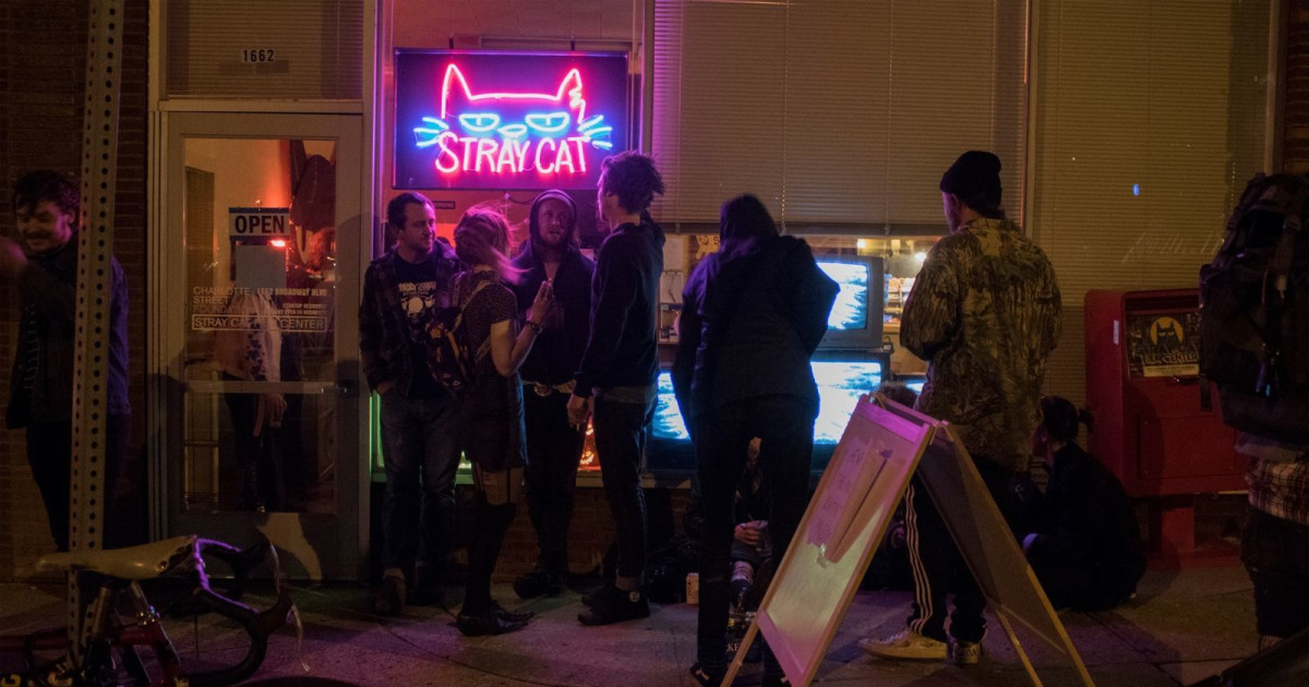 Helkat, Mild Cats, True Lions in Kansas City at Stray Cat Film