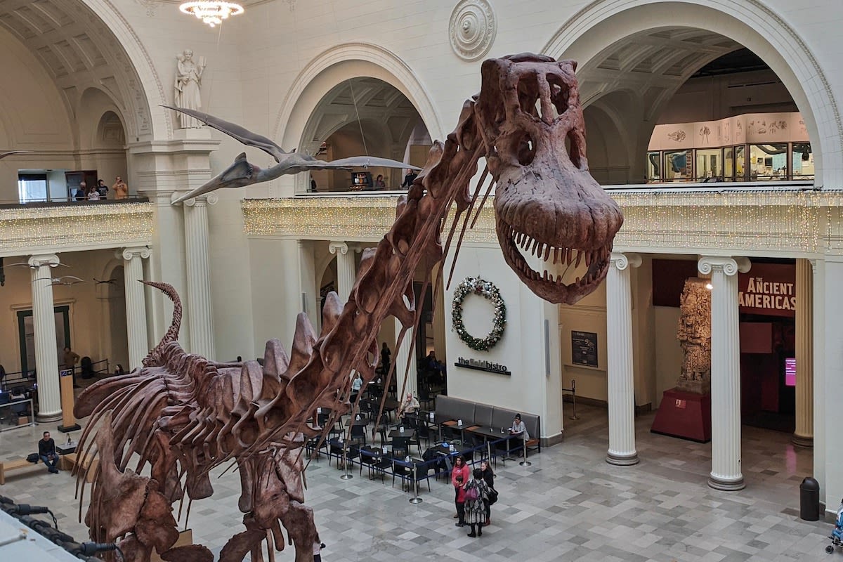 Museum Free Day Chicago 2022 Christmas Day 2023