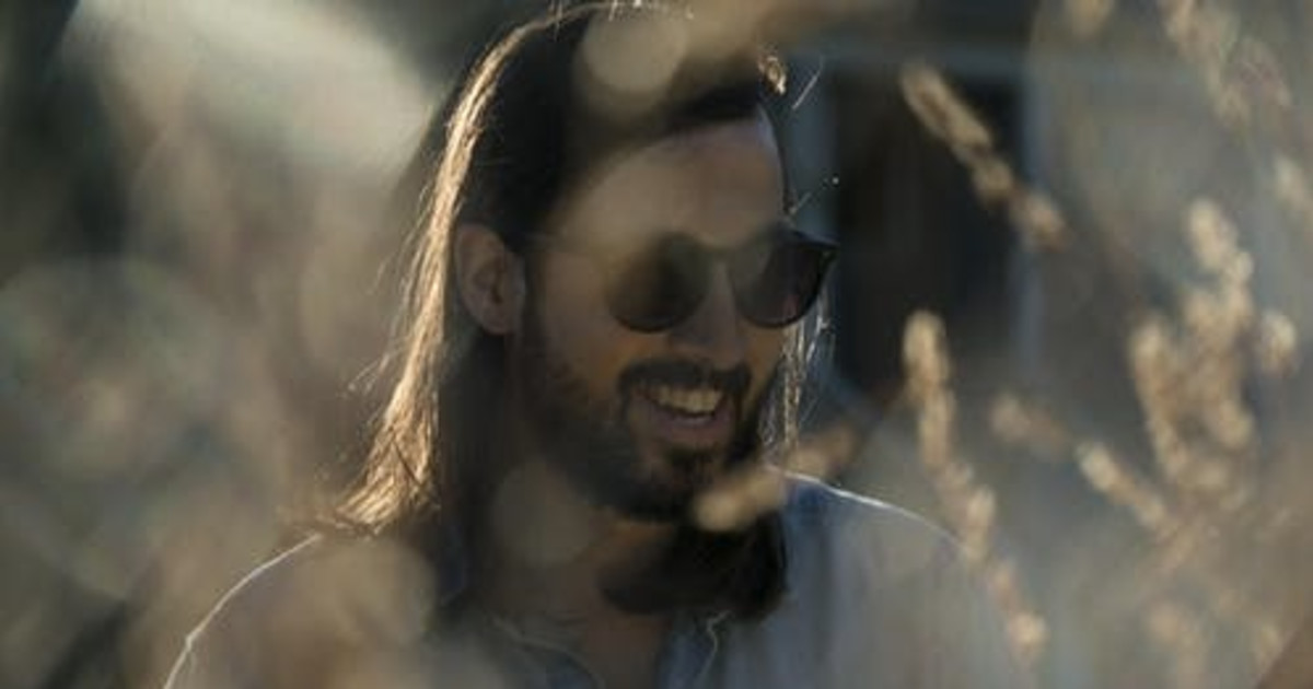 Jeffrey Silverstein, Ancient Forest, Cat Positive, Surething