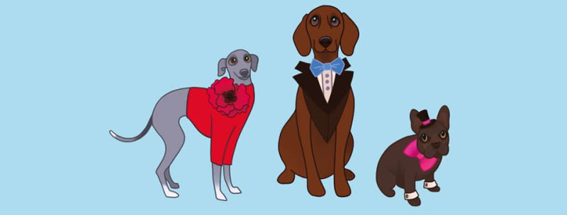 Dog Prom: A Canine Night to Remember in Oakland at Temescal