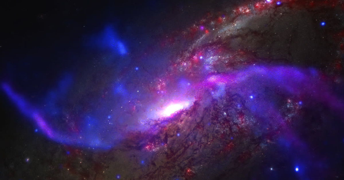 Science Snapshot in Cambridge at Museum of Science