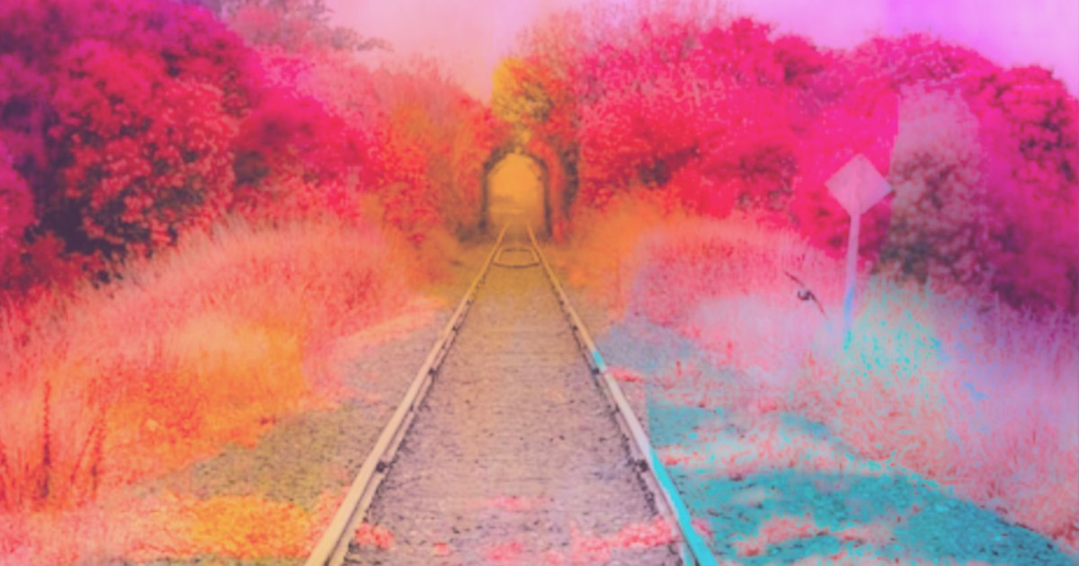 Bleached Roses + Kelsi in The Black Lodge in Austin at Cenote