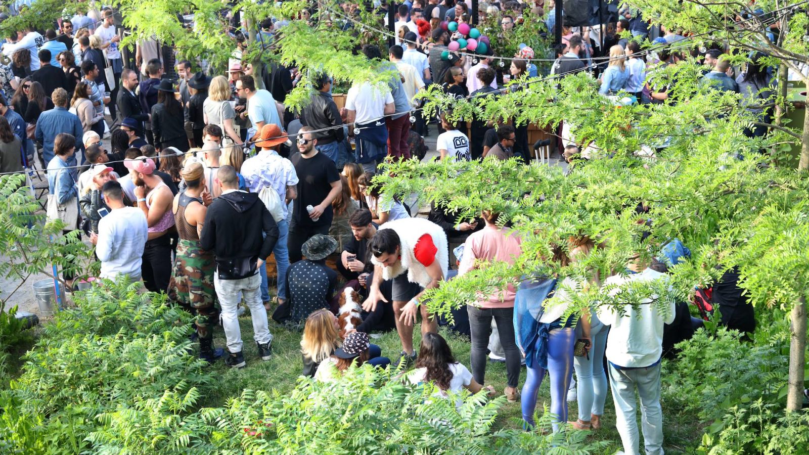 What You Can Do To Help The New York Service In...