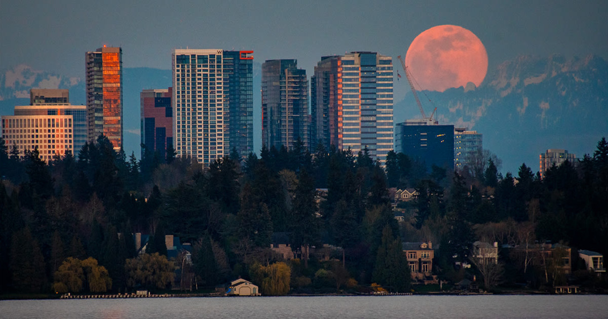 Your Daily Dose of Seattle Beauty