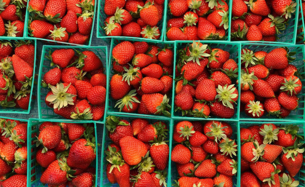 Farm Fresh Options in Austin