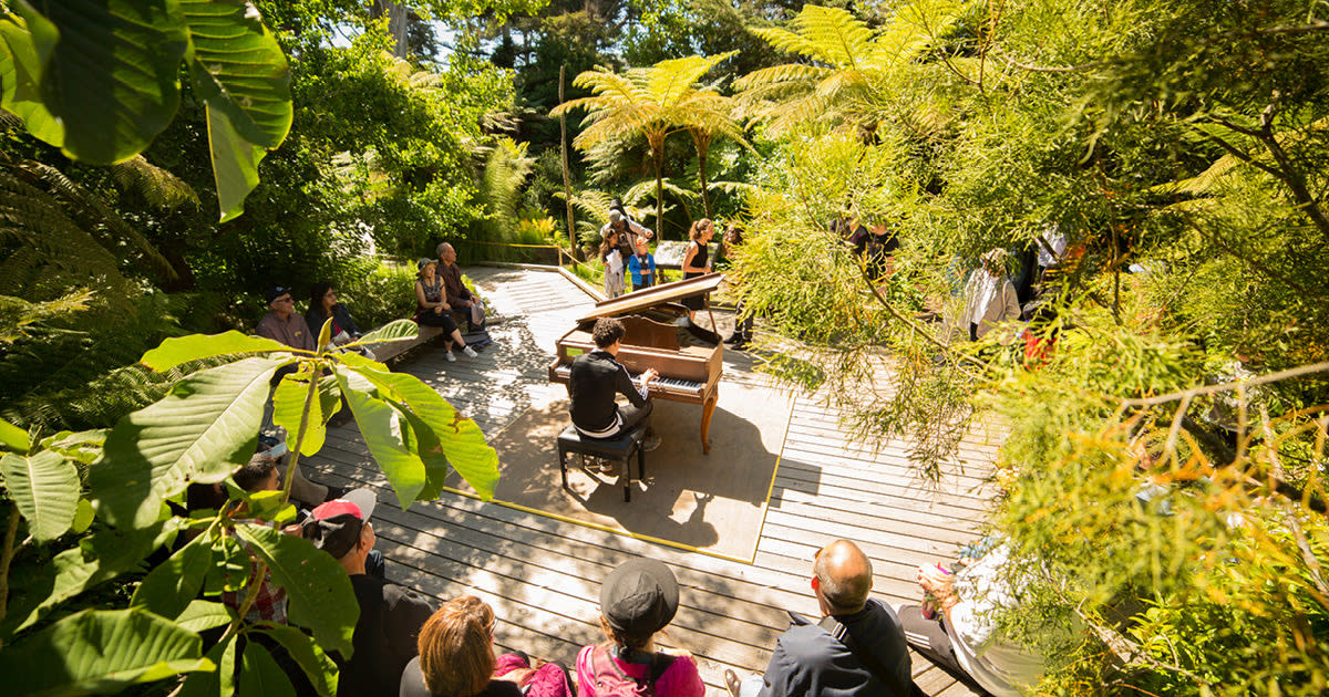 SF Botanical Garden Plans To Reopen June 1st