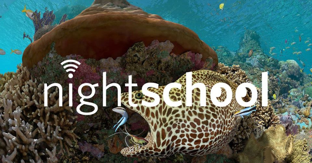 Nightschool: How to Design a Coral Reef in San Francisco at