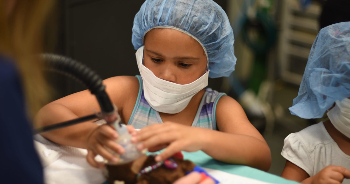 SKS: Virtual Teddy Bear Surgery in Austin at Online