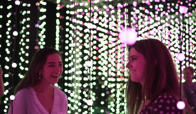 Wonderspaces: Interactive Art Exhibit in Austin at