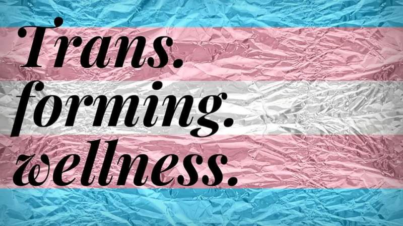 Trans Allyship 101 in Austin at Online