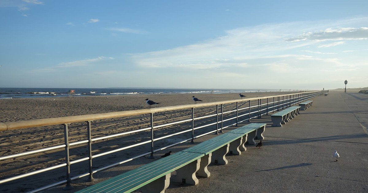 Today's M4BL Protests - Stand in Solidarity with Portland