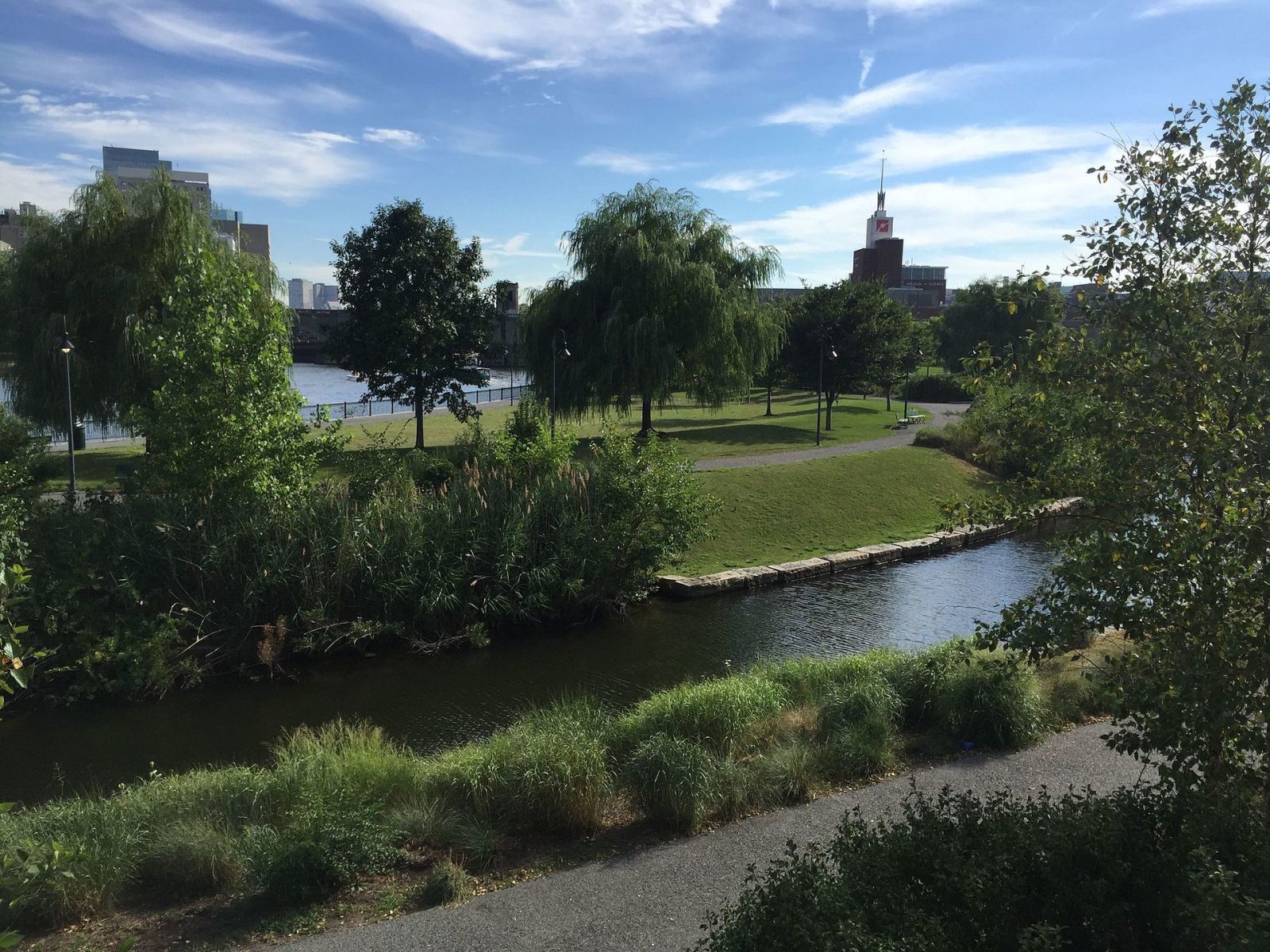 Best Dog Parks in Boston