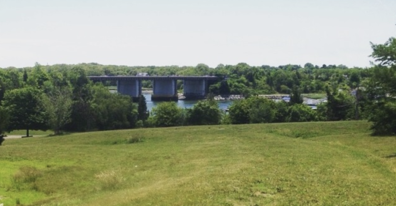 Best Dog Parks in Boston