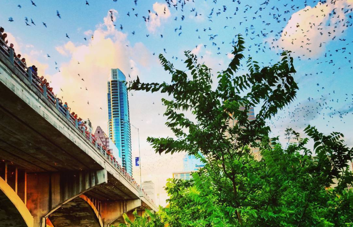 The Weirdest Things You Can Do in Austin