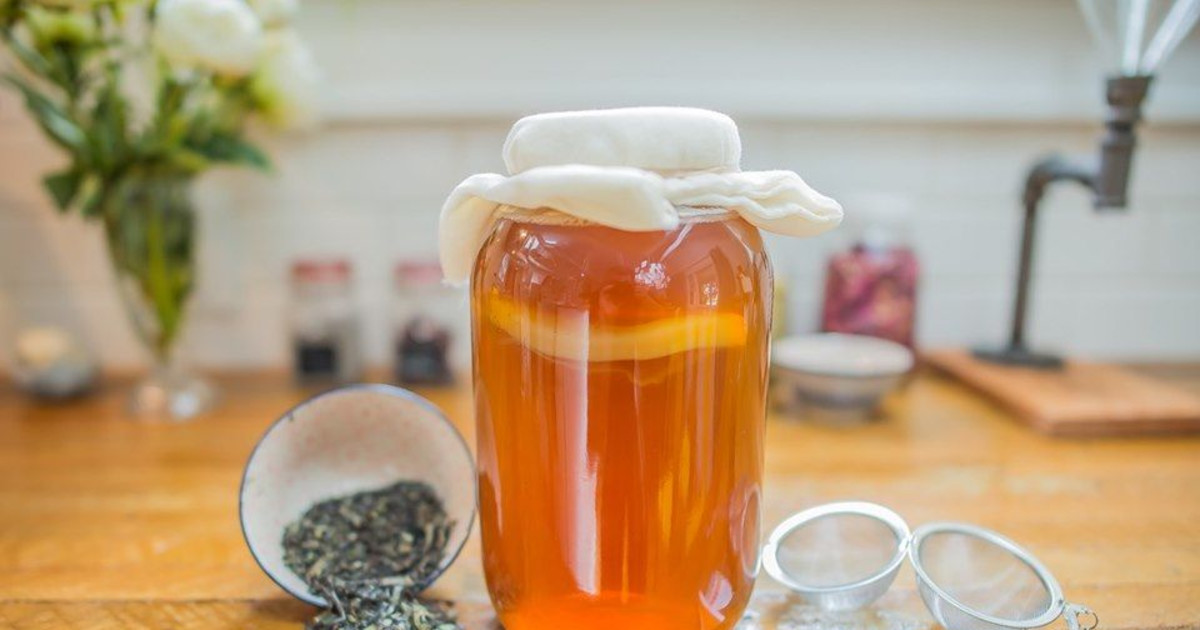 How to Make Kombucha From Home in Indianapolis at Great