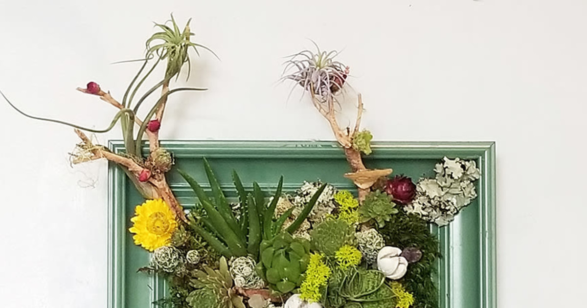 Virtual DIY - Make a Mini Living Wall Class - December 5 in Austin at