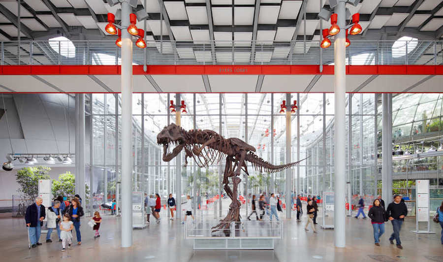 What's Open: Bay Area Museums, Gardens, Zoos