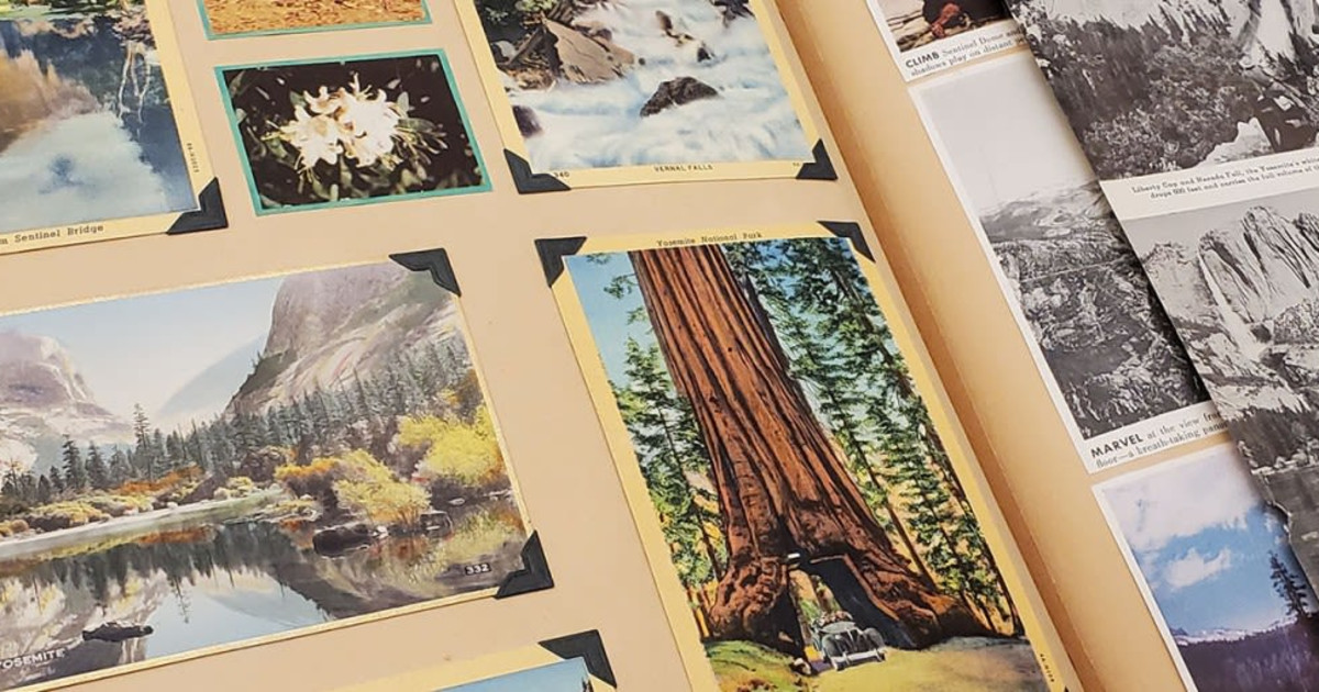 Guerrilla Archives and Storytelling: Preservation of