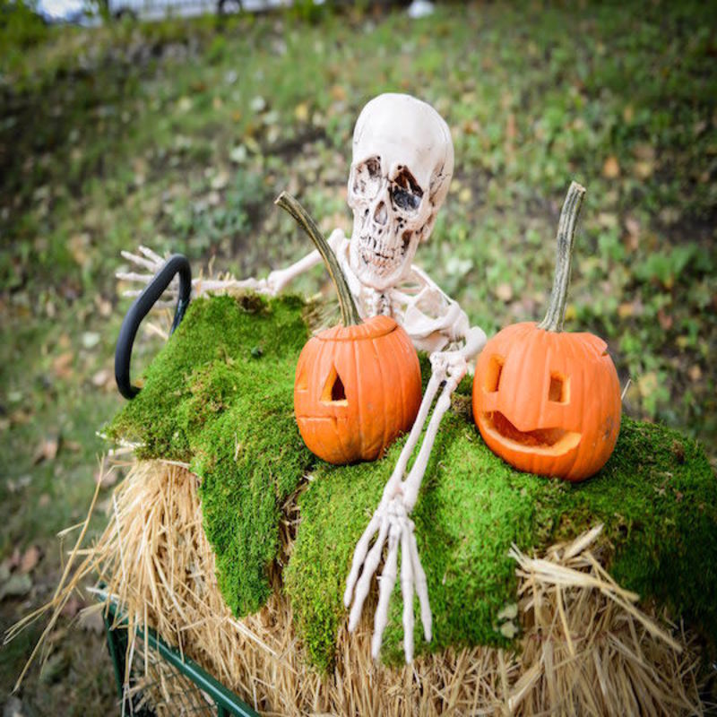 Halloween at the Garden in Flushing at Queens Botanical Garden