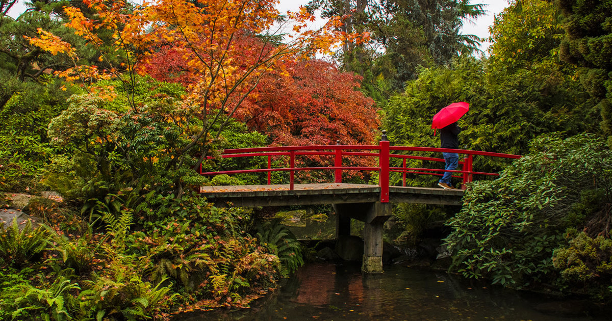 Your Guide To Fall In Seattle