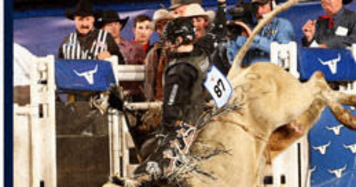 Bulls in the Ballpark in Round Rock at Dell Diamond