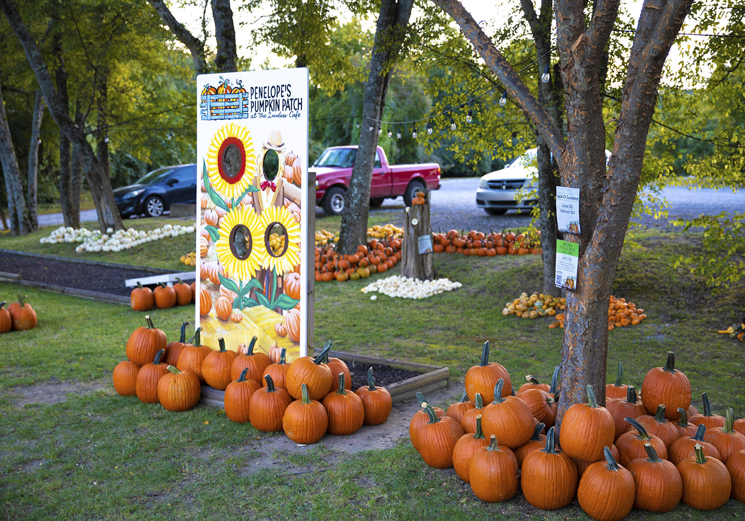 Pumpkin Patch, Seasonal Drinks, and Fire Pit Fun in Nashville at