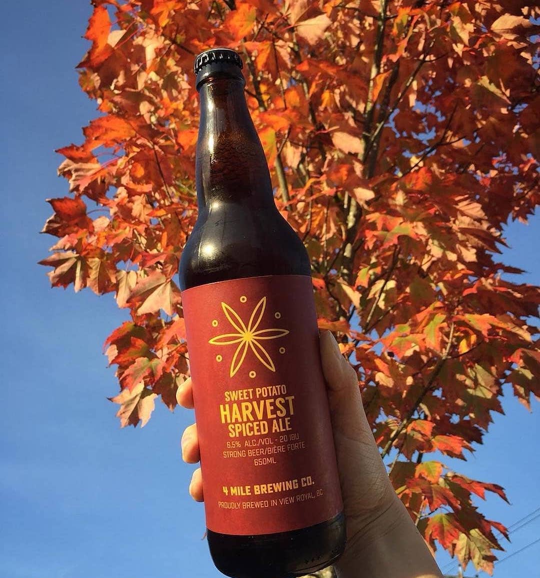 10 Must-Try Island Brewed Fall Beers