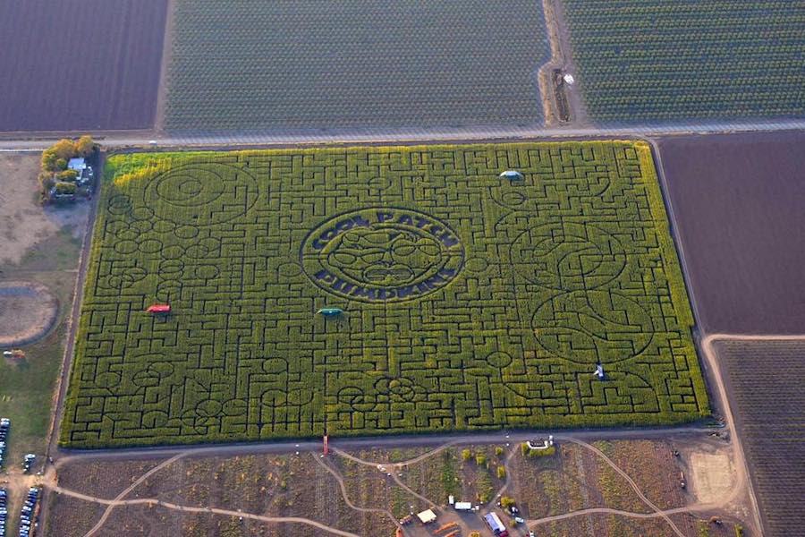 The Bay's Best Pumpkin Patches + Corn Mazes