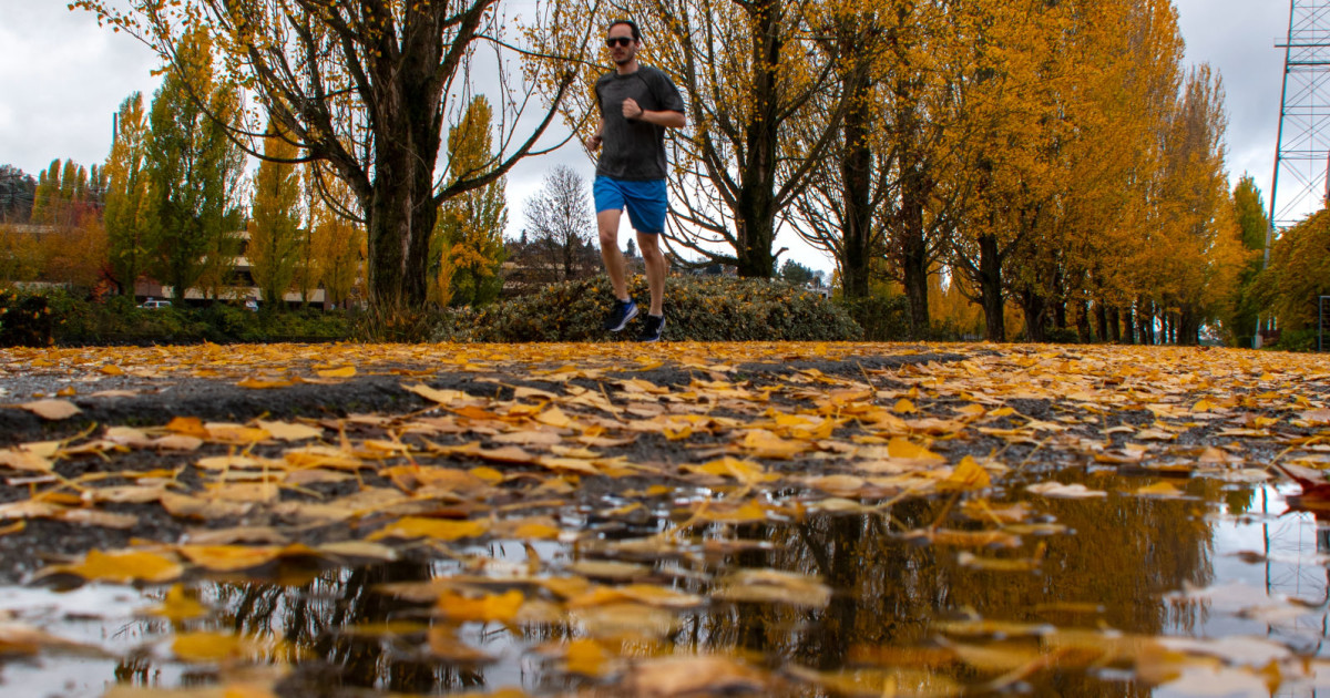 Great Walks To Take Around Seattle