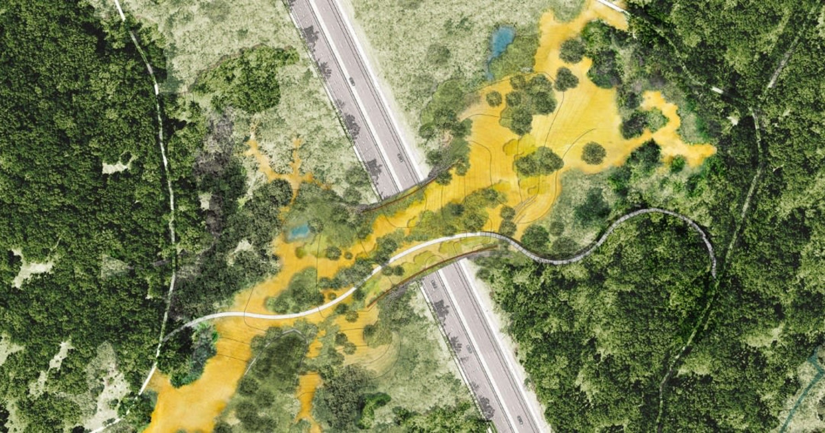 The Robert L.B. Tobin Land Bridge Grand Opening in San Antonio at