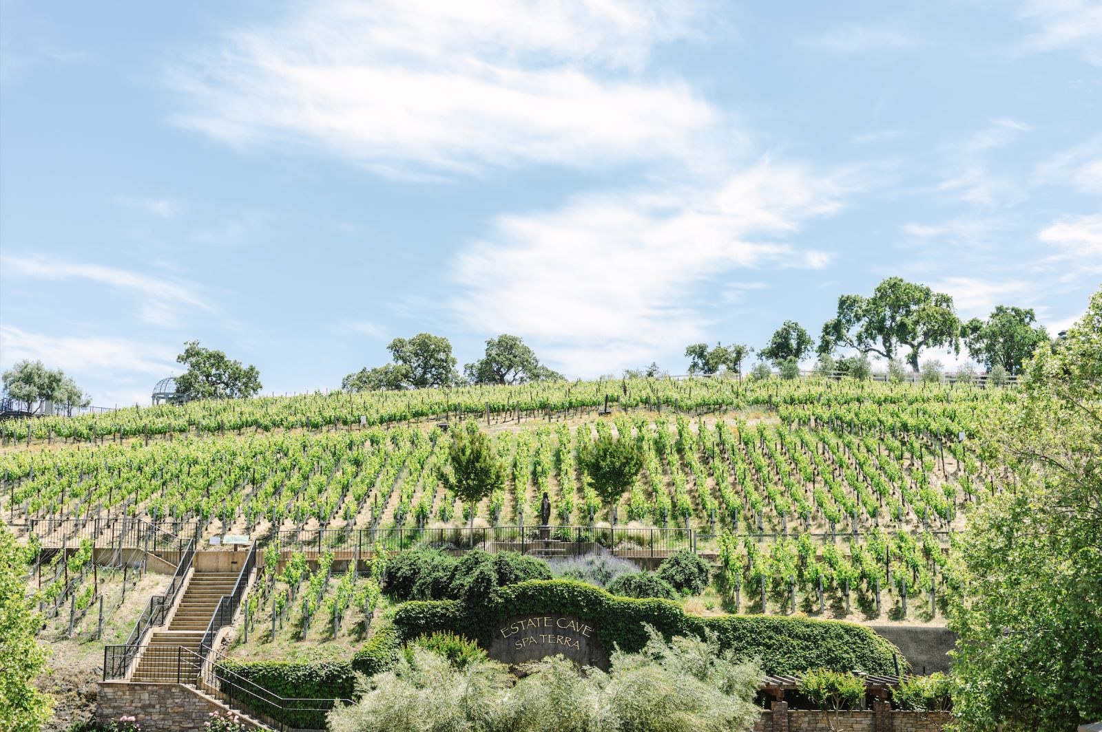 Napa Weekend Getaway in Napa at Meritage Resort and Spa Napa