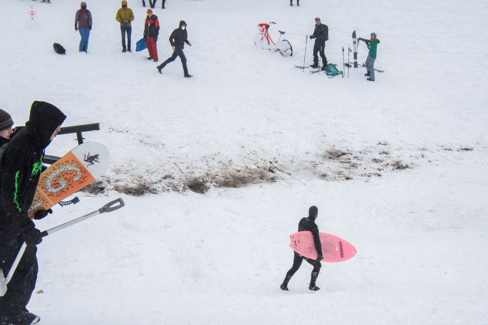 Seattle Snowstorm 2021 Photos