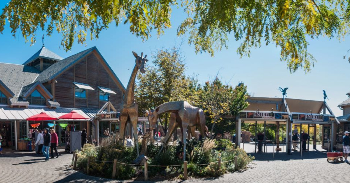 Flock Party 2021 in Denver at Denver Zoo