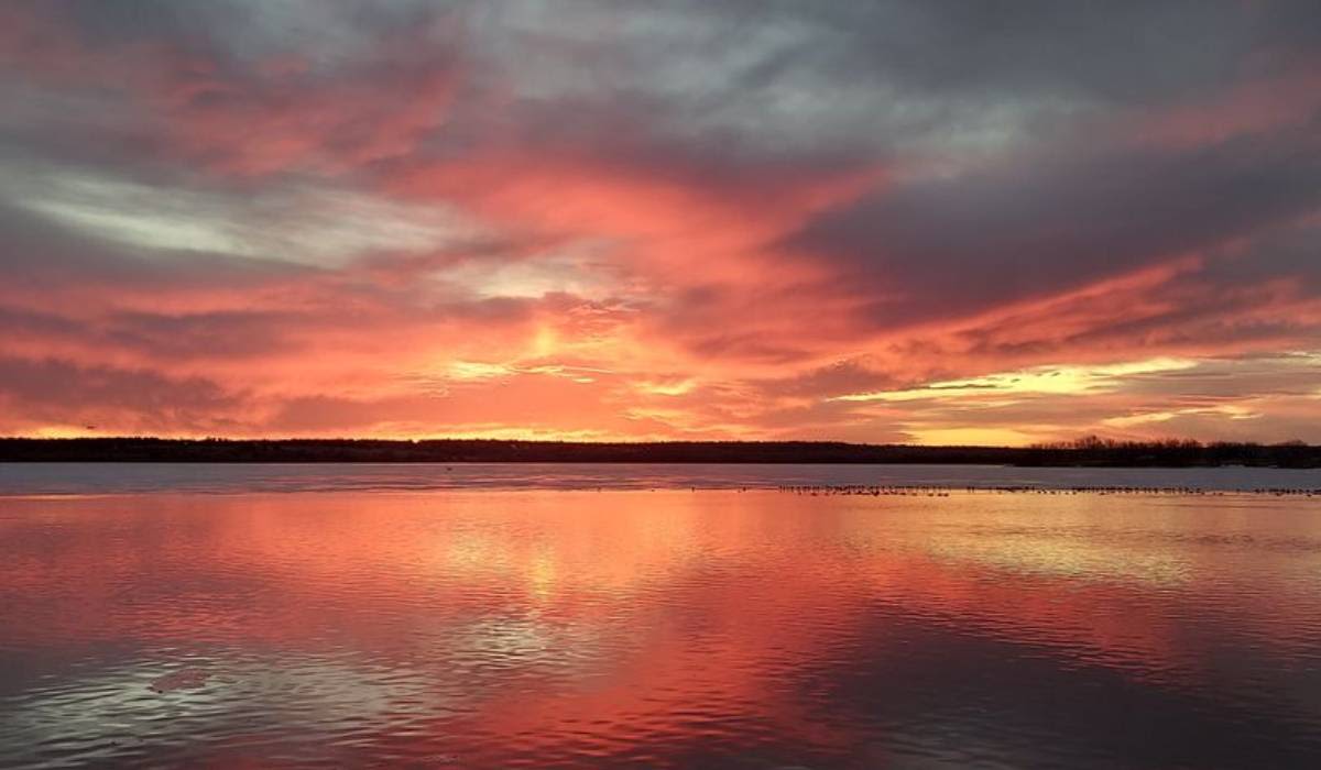 Places To Swim In And Around Denver