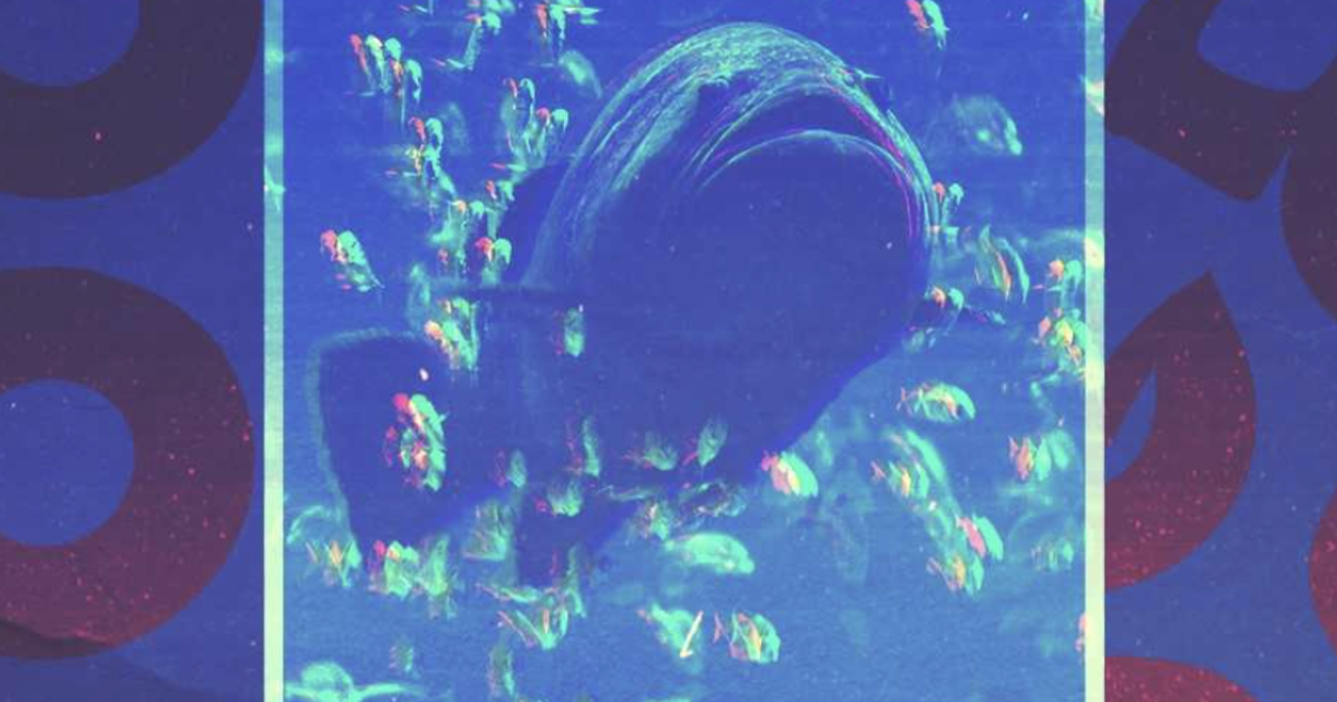 A Live One: Texas' Premier Phish Tribute in Austin at 3TEN