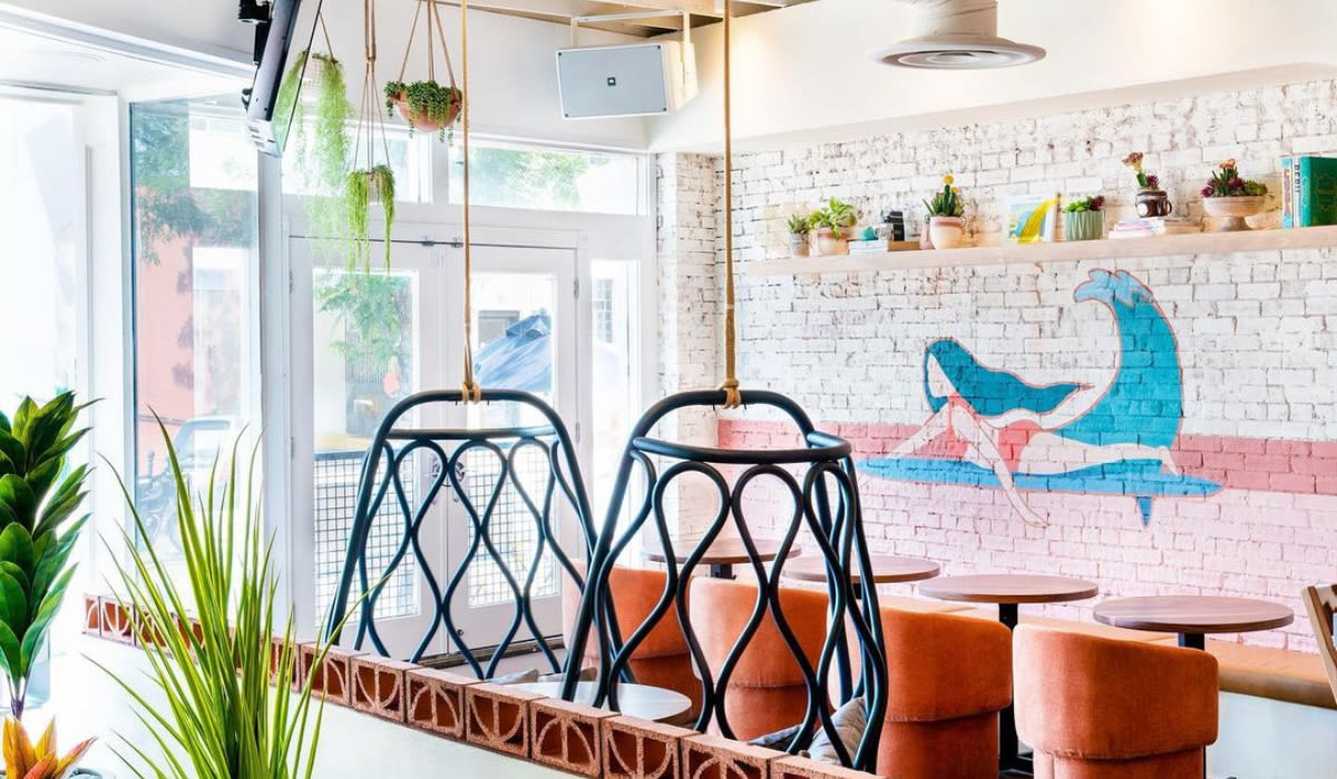 Newly Opened Bars & Restaurants In Denver