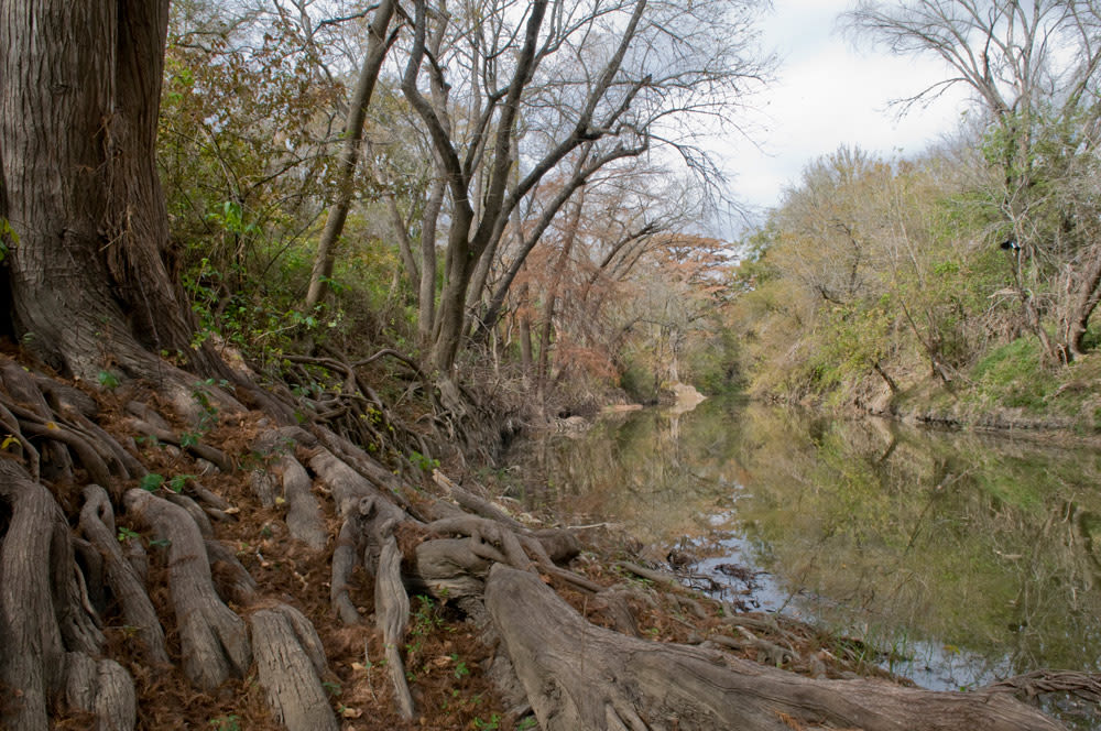 The Best Places to Cry in Austin