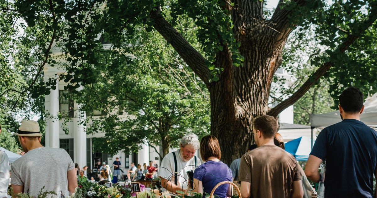 LAST Summer Nights Market in Victoria at Haultain Walkway
