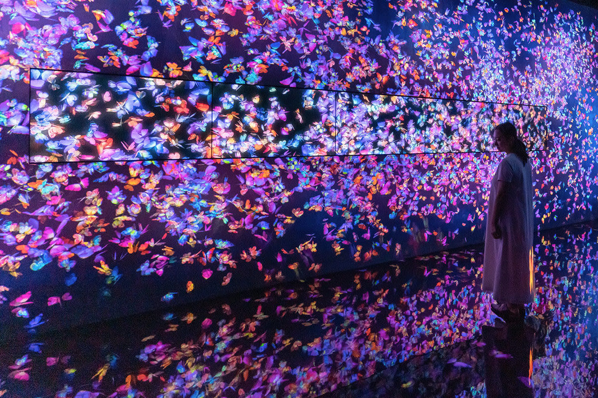 Your Rainy Day Guide to The Bay