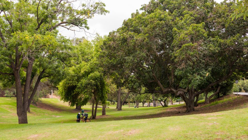 Best Picnic Spots in LA