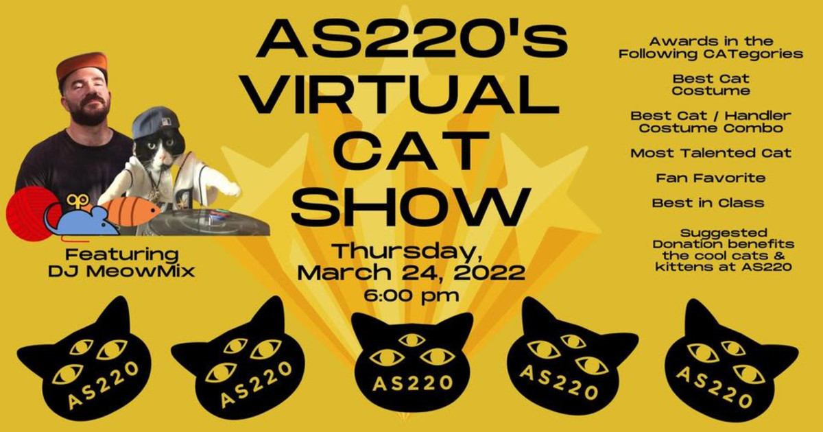 As220's Virtual Cat Show in Boston at AS220