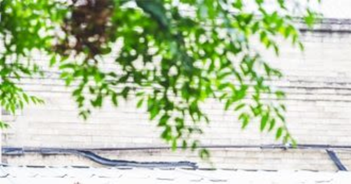 The Chili Queens Chili Cook Off & Tackiest Queen Contest in San