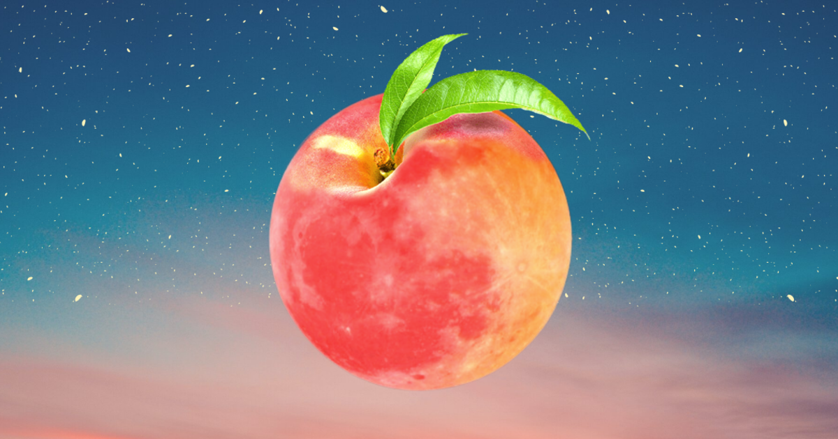 New Bloom Music & Art Showcase in Austin at Blue Norther HQ